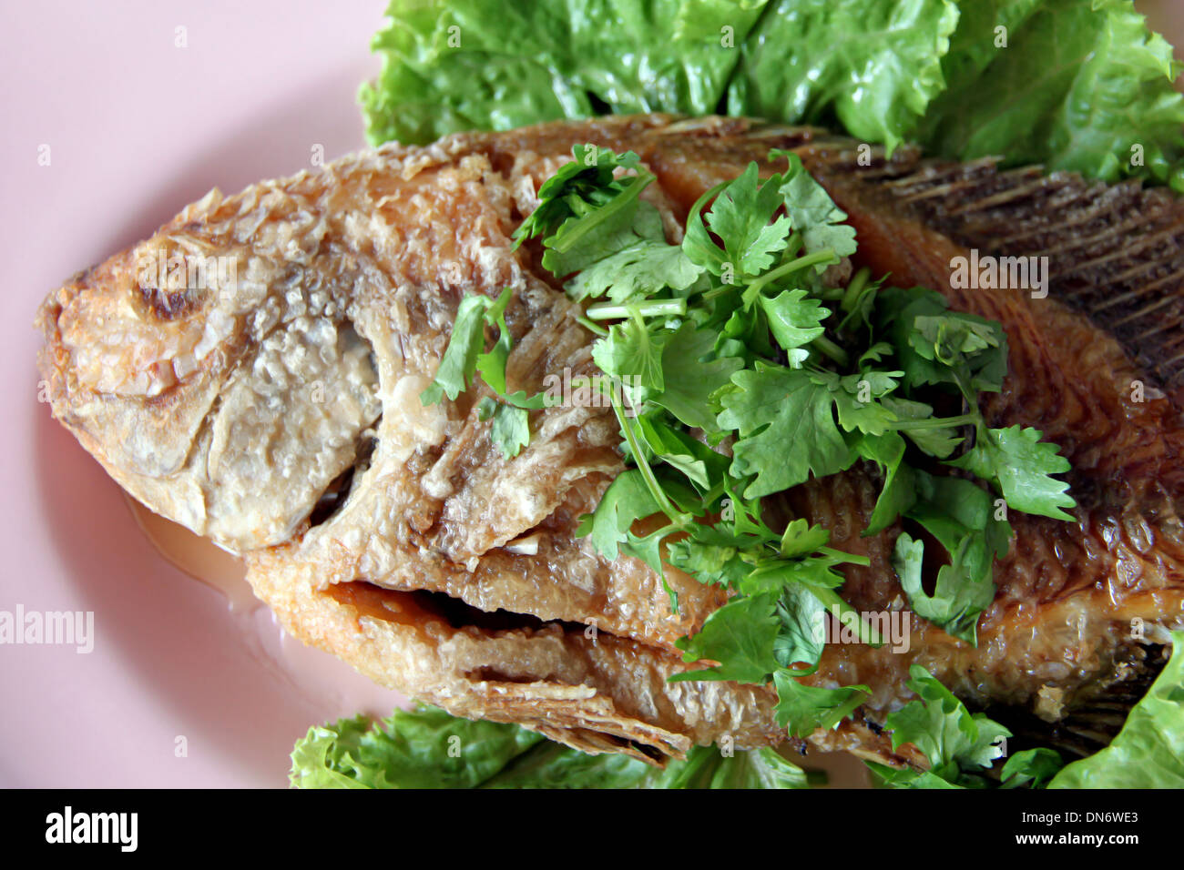 The Thai food of Fried fish and cilantro in the dish Stock Photo - Alamy