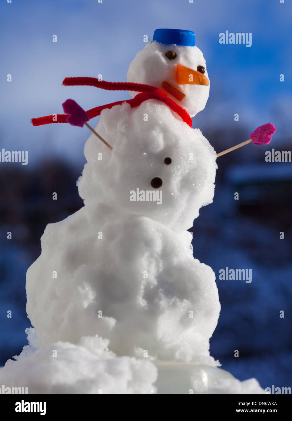 Happy snowman with carrot as nose, pink gloves, blue hat and red scarf ...
