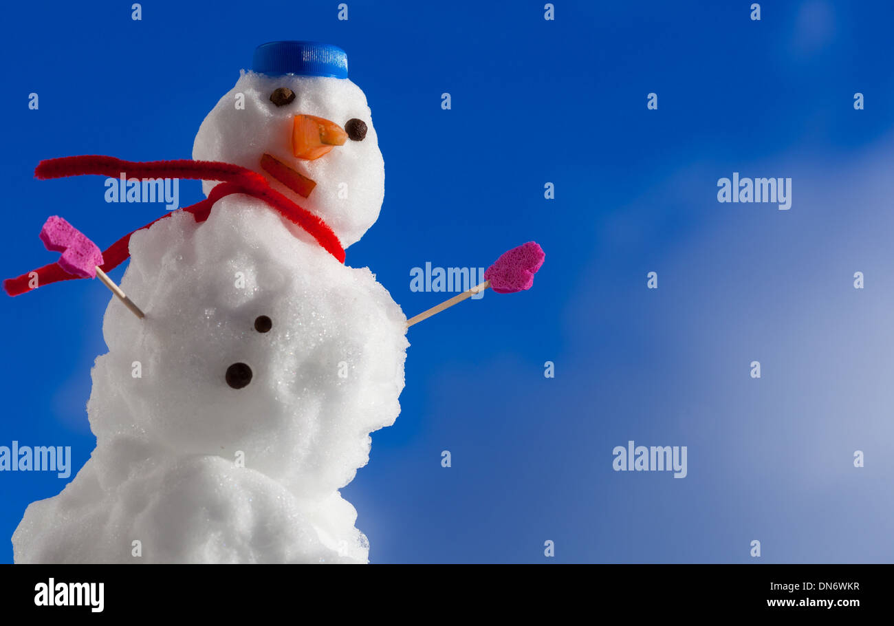 Happy snowman with carrot as nose, pink gloves, blue hat and red scarf ...