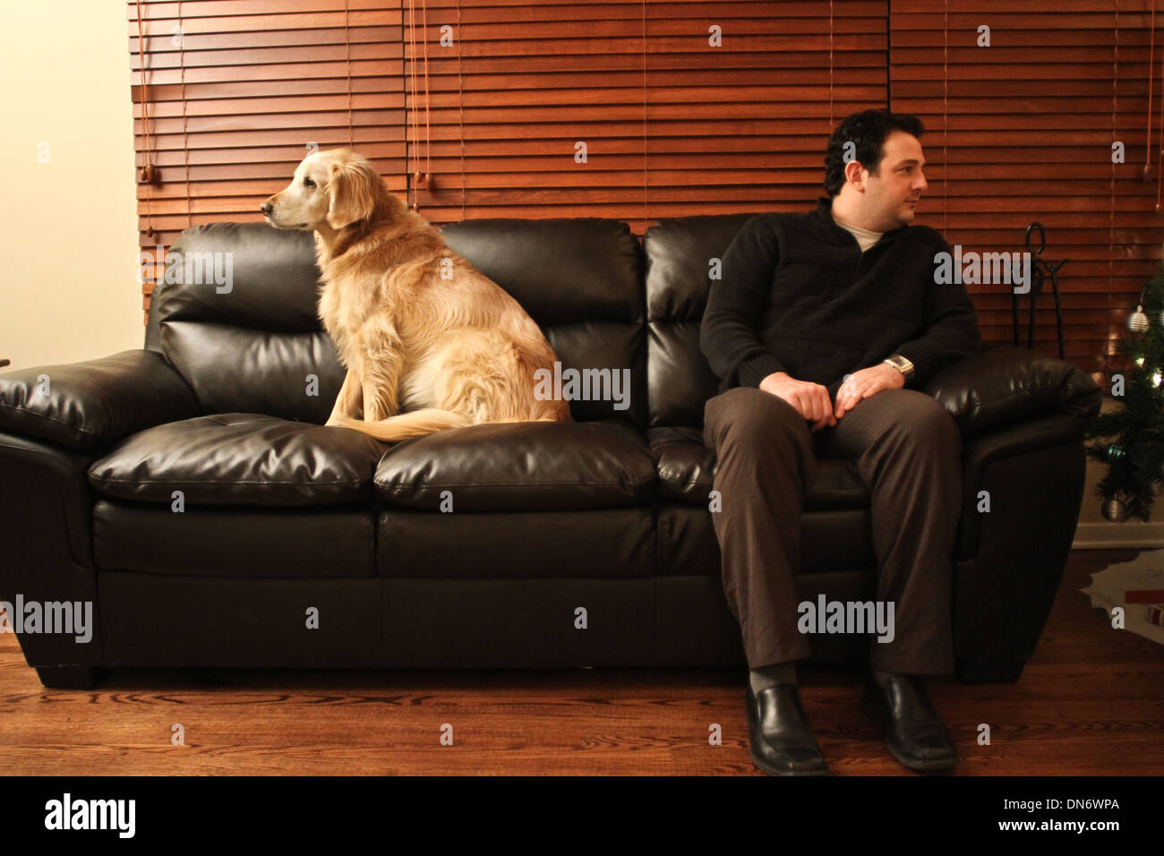 A dog and his owner sitting on the couch Stock Photo - Alamy