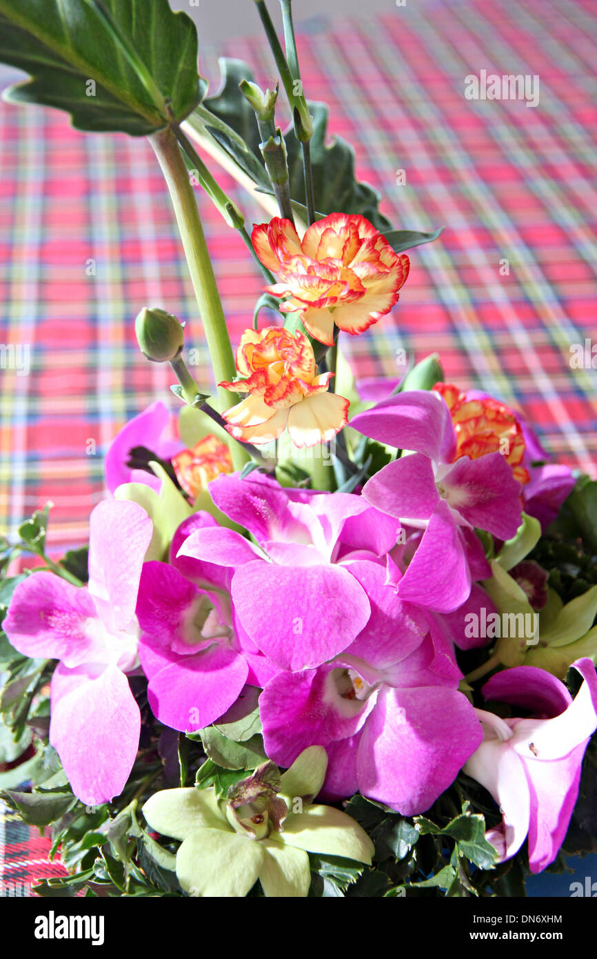 Orchid table hi-res stock photography and images - Alamy