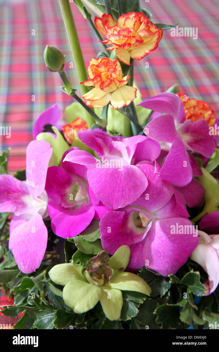 Orchid table hi-res stock photography and images - Alamy