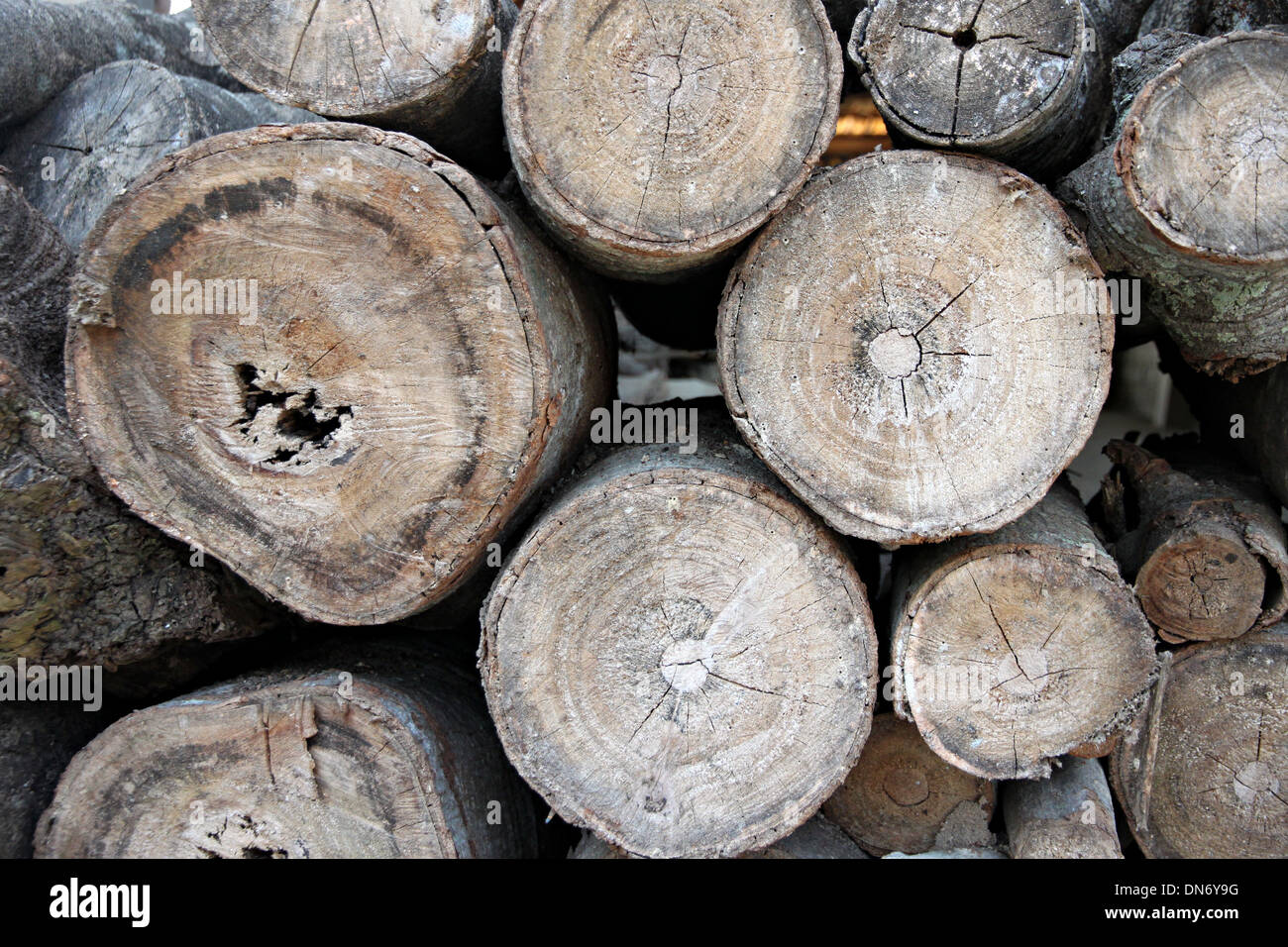Stained wood texture hi-res stock photography and images - Alamy