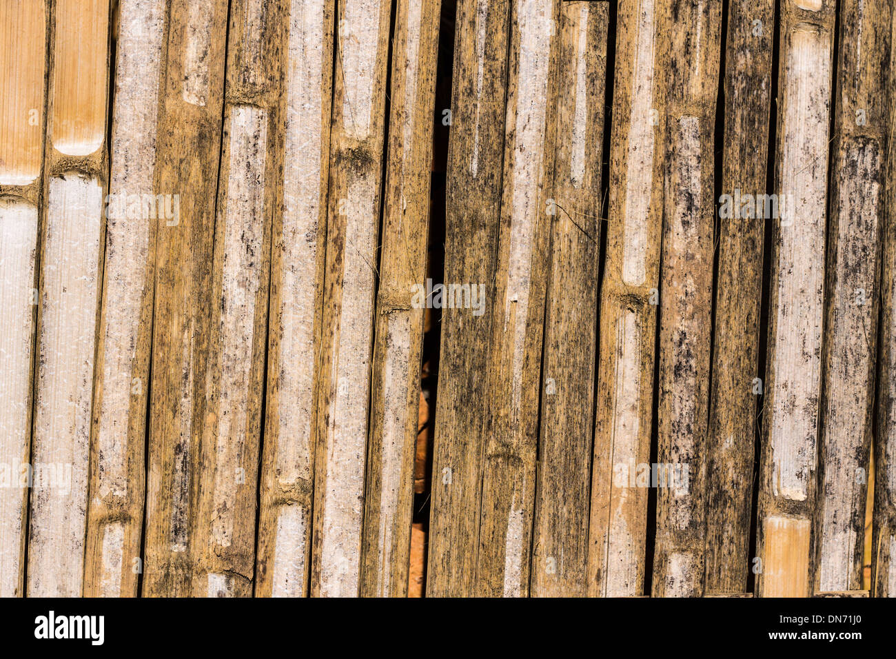 Bamboo Wall , Texture Stock Photo - Alamy