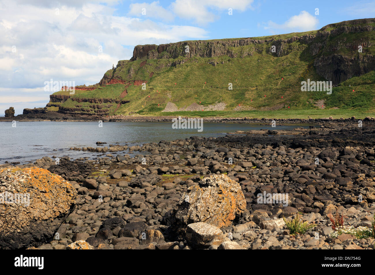 Polygonal basalt lava rock columns of the Giant's Causeway on the north ...
