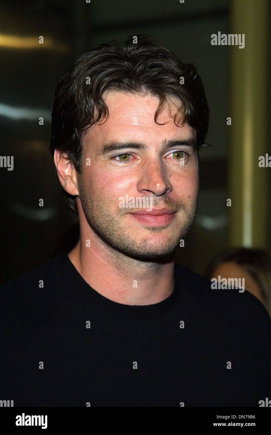 Scott foley below hi-res stock photography and images - Alamy
