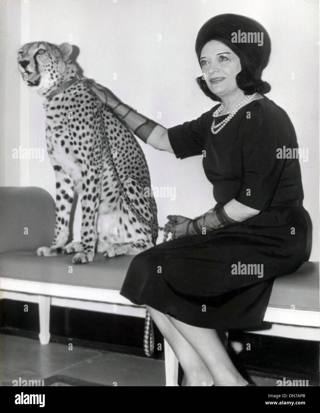 Oct. 25, 1963 - Hollywood, CA, U.S. - Screen vamp POLA NEGRI seen with ...