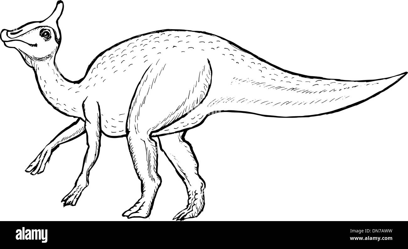 Saurolophus hi-res stock photography and images - Alamy