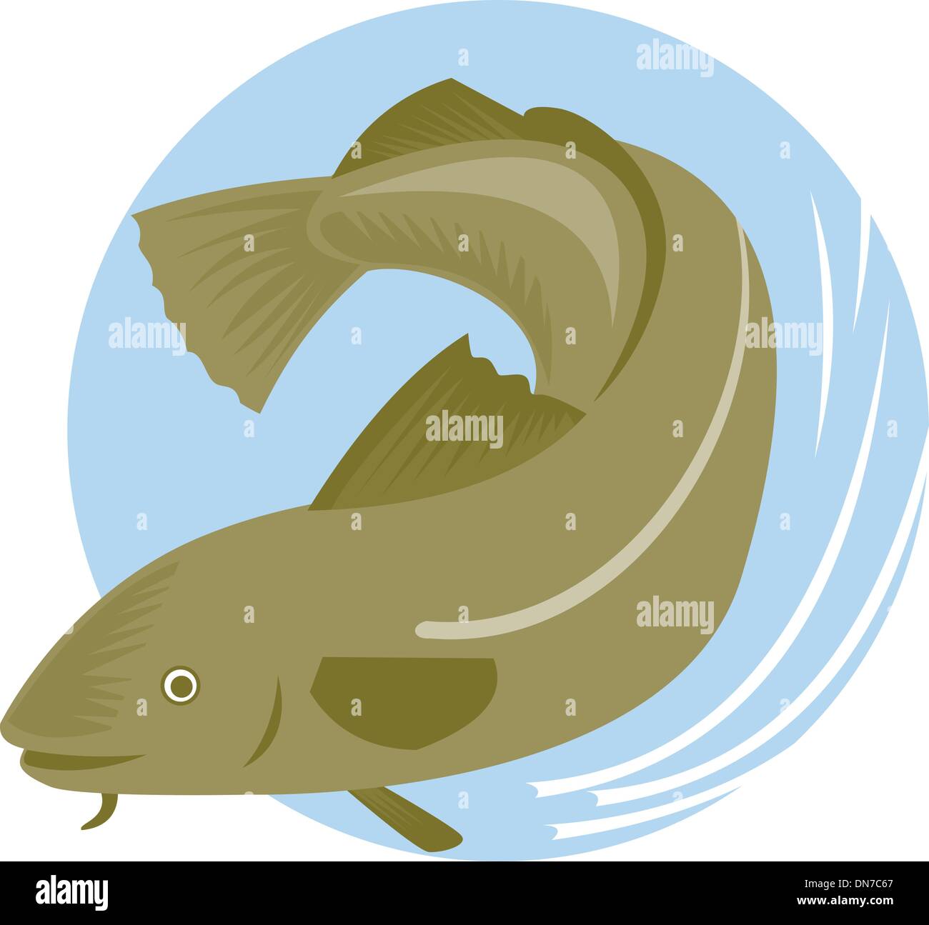 Atlantic cod Stock Vector Images - Alamy