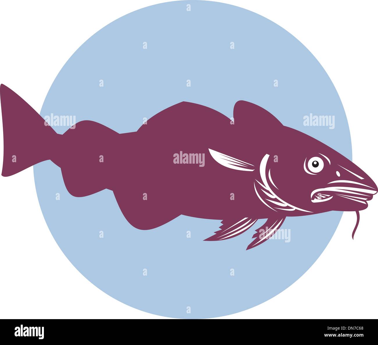 Atlantic cod Stock Vector Images - Alamy