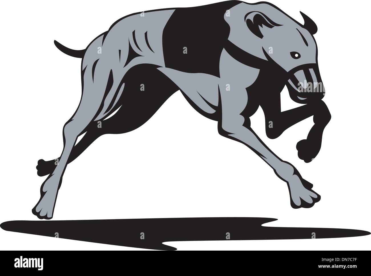 Greyhound Dog Racing Retro Stock Vector Image & Art - Alamy