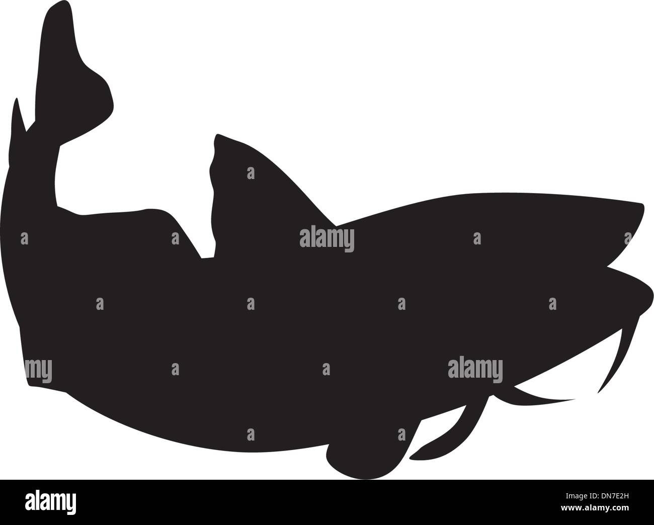 Atlantic cod Stock Vector Images - Alamy