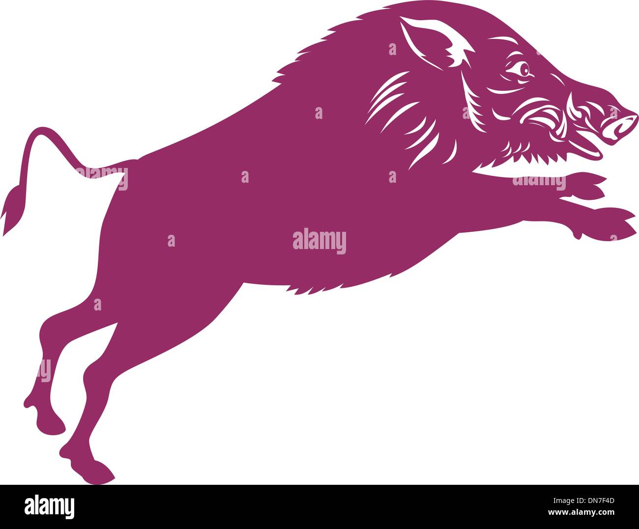Wild Pig Boar Stock Vector Image & Art - Alamy