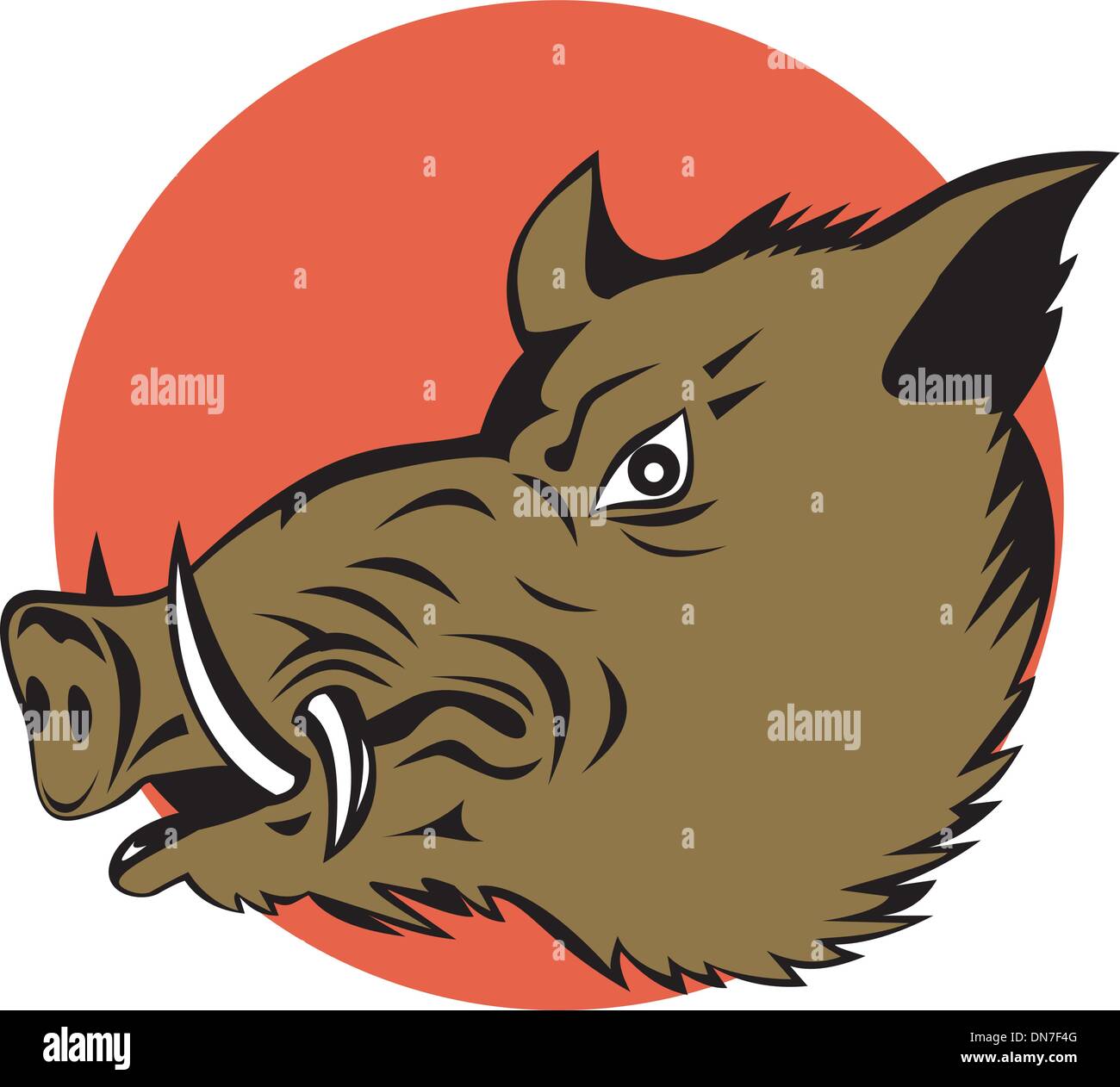 Wild Pig Boar Head Stock Vector Image & Art - Alamy