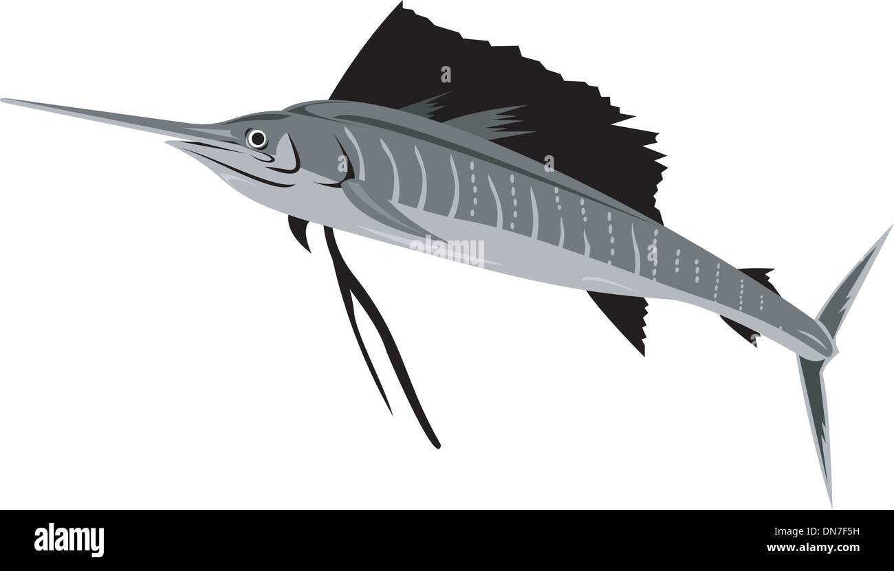Sailfish Jumping Black And White