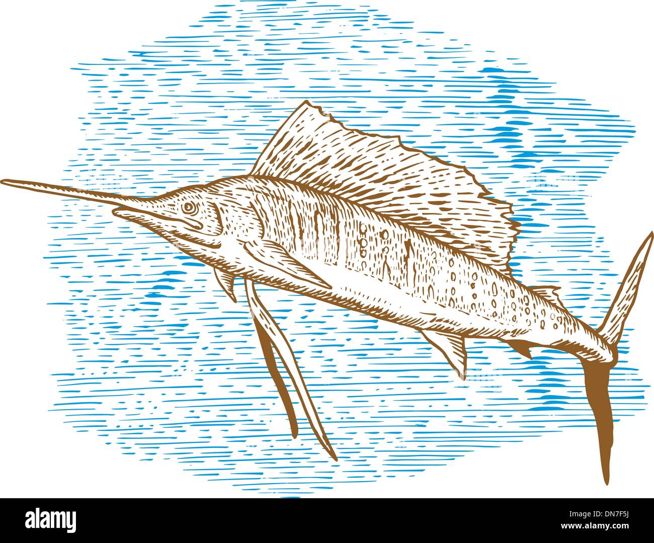 Sailfish Fish Jumping Sketch Stock Vector Image & Art - Alamy