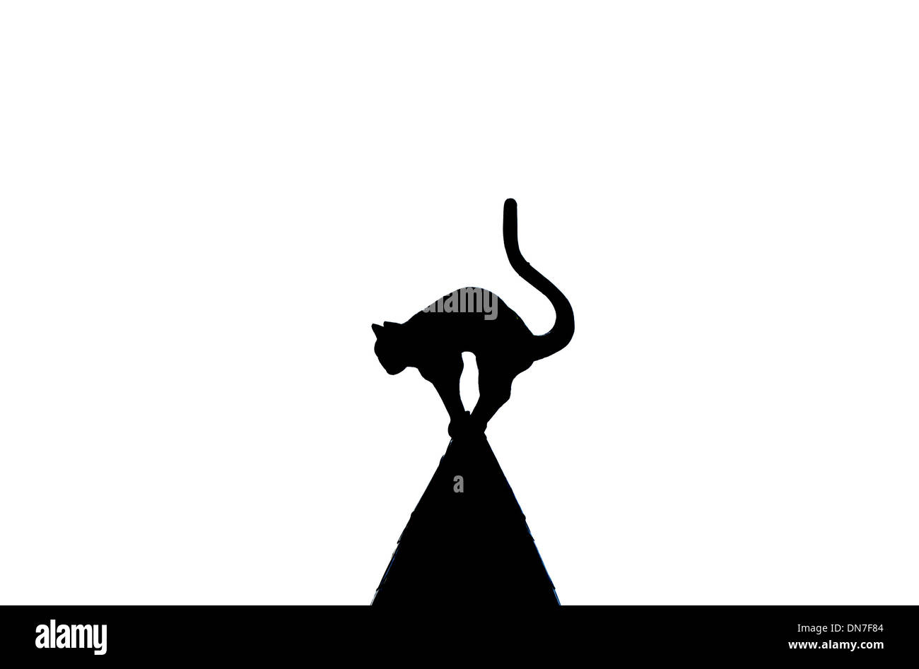 Cat statue on the turret of the Cat House, Riga, Latvia Stock Photo - Alamy