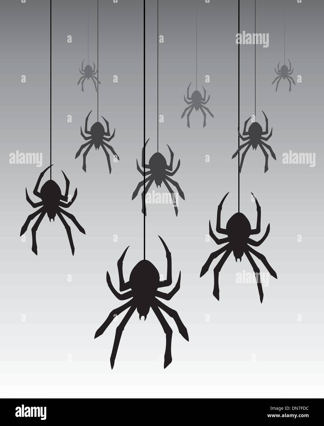 vector hanging spiders Stock Vector Image & Art - Alamy