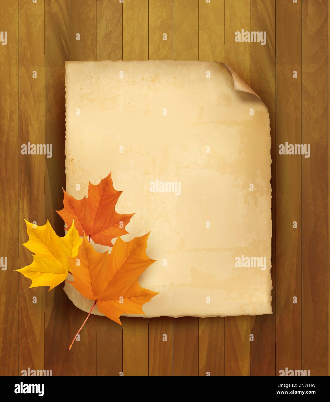 Autumn leaves paper on hi-res stock photography and images - Alamy