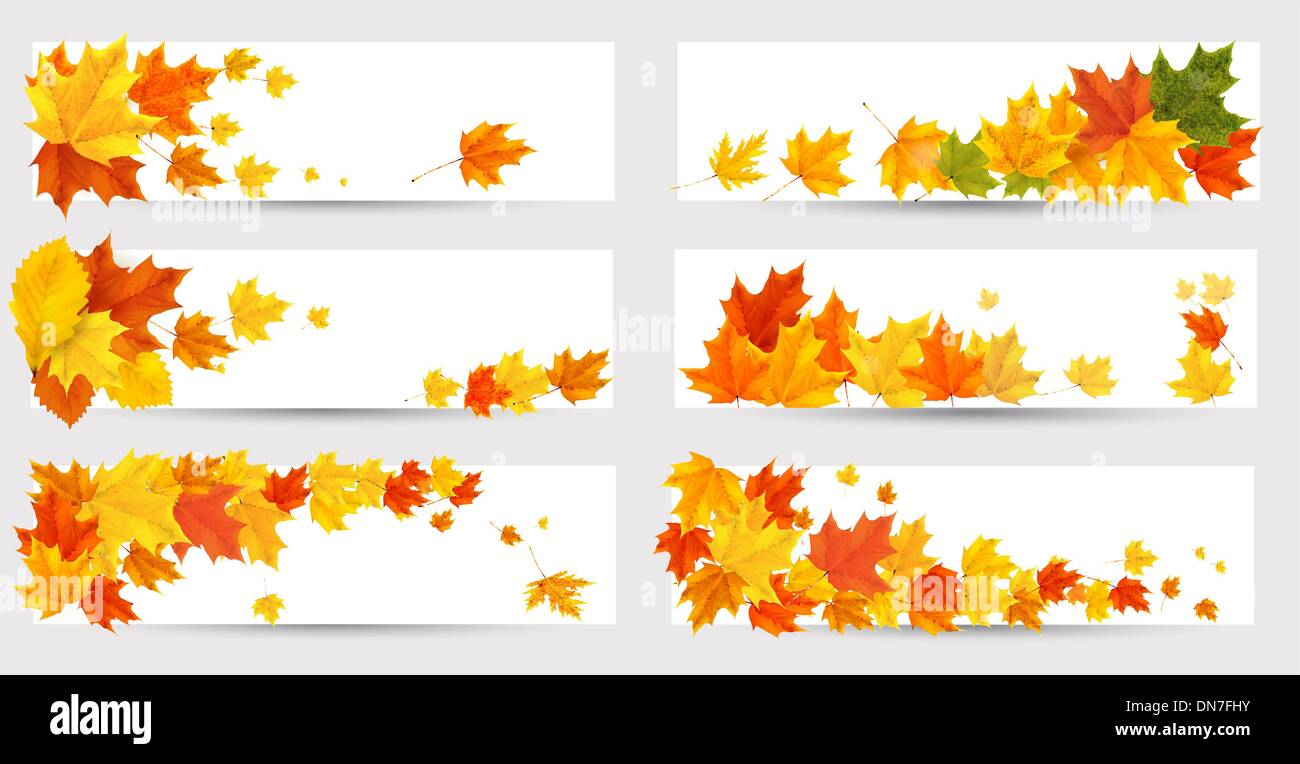 Orange and yellow vect Stock Vector Images - Alamy