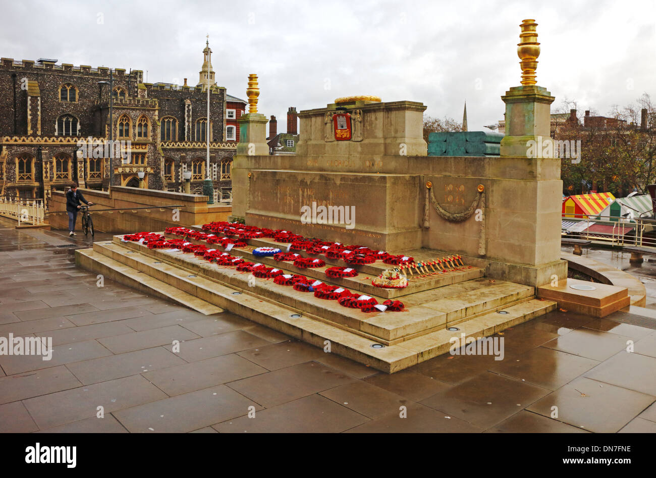 Centre of a poppy hi-res stock photography and images - Alamy