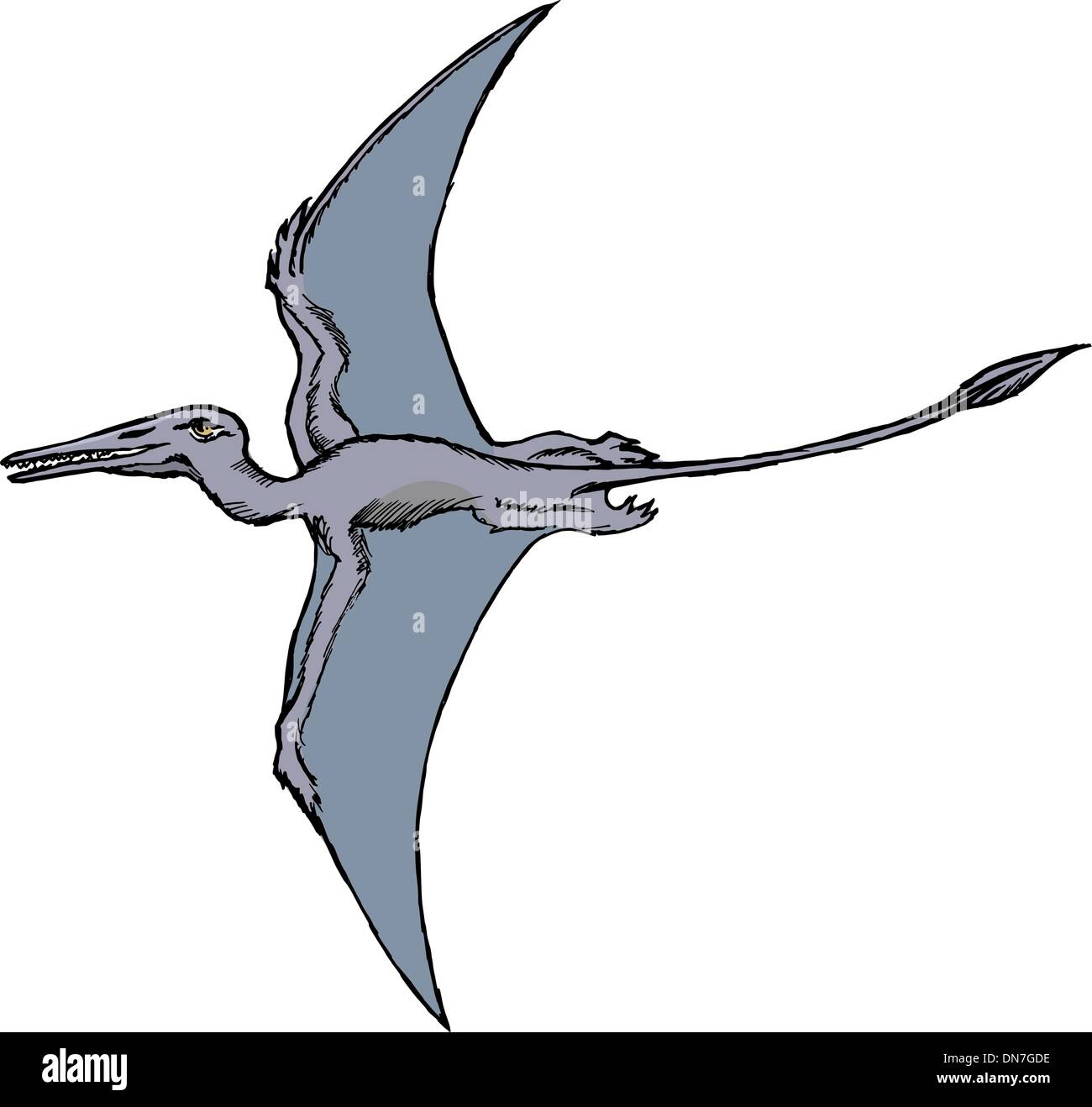 Pterodactyl vector vectors hi-res stock photography and images - Alamy