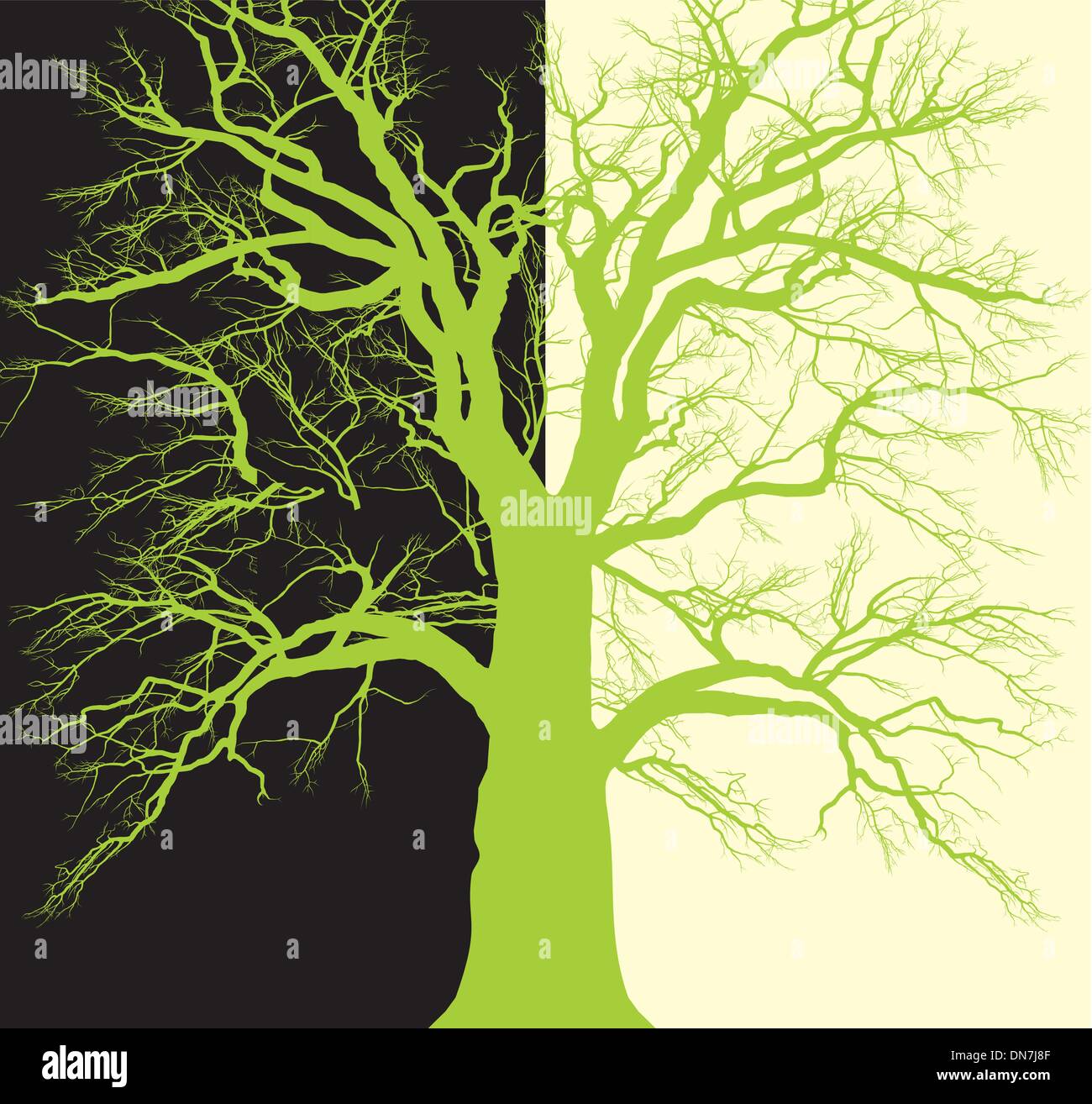 Vector branched tree hi-res stock photography and images - Alamy