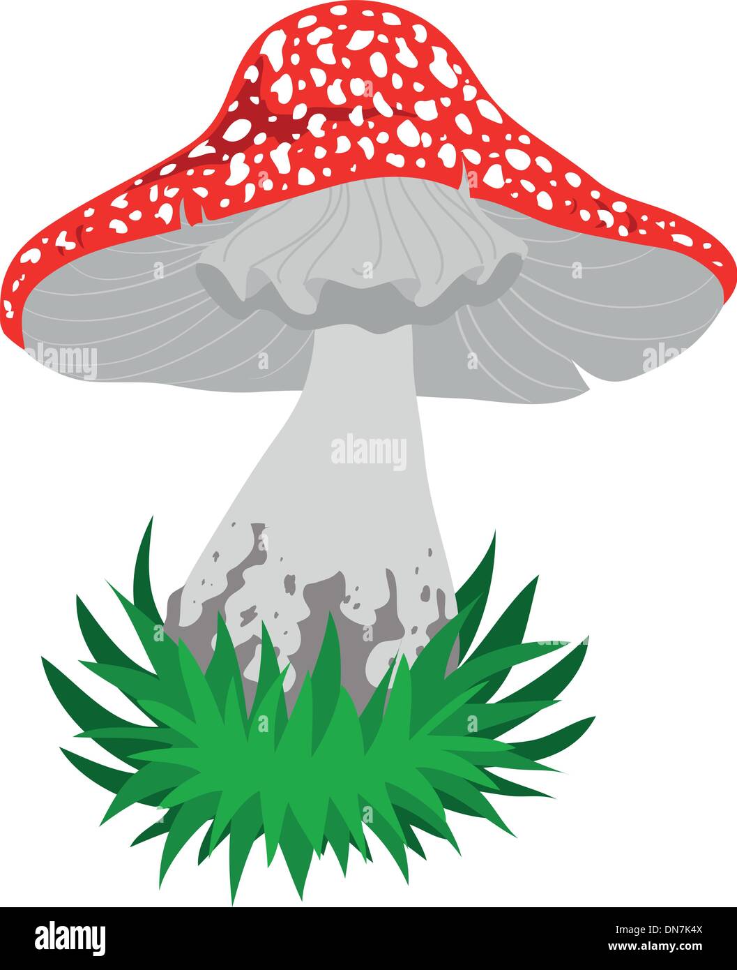 Amanita vector vectors hi-res stock photography and images - Alamy