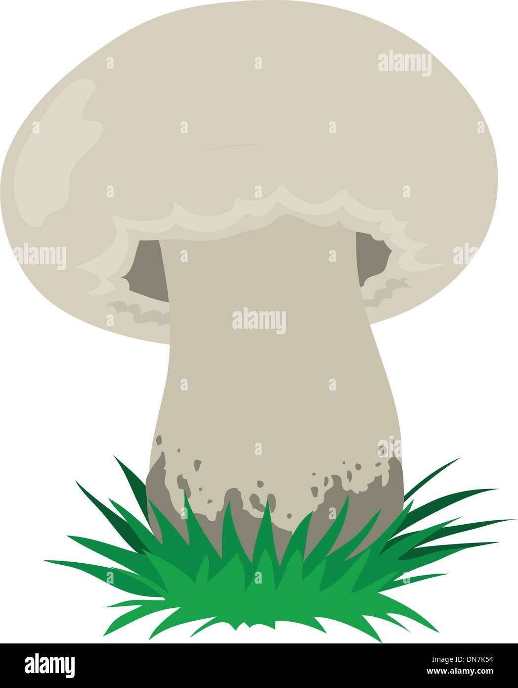 Champignon Stock Vector Images - Alamy
