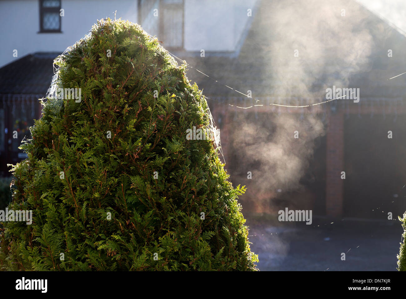 The steam plant hi-res stock photography and images - Alamy