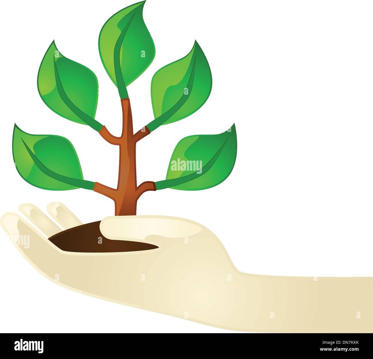 Hand holding tree Stock Vector Image & Art - Alamy