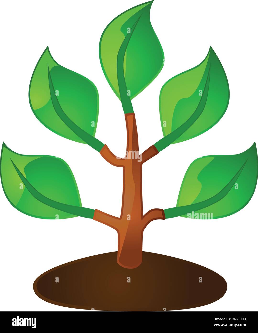 Shrubs or small tree Stock Vector Images - Alamy