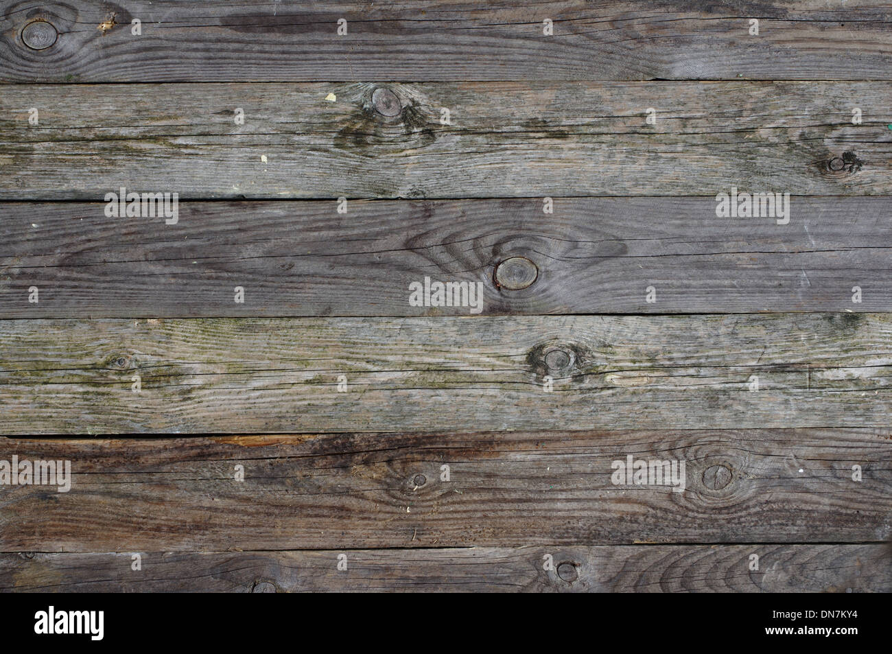 Old gnarled hi-res stock photography and images - Alamy