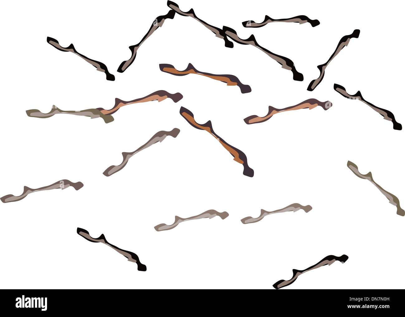 Take out coffee white background Stock Vector Images - Alamy