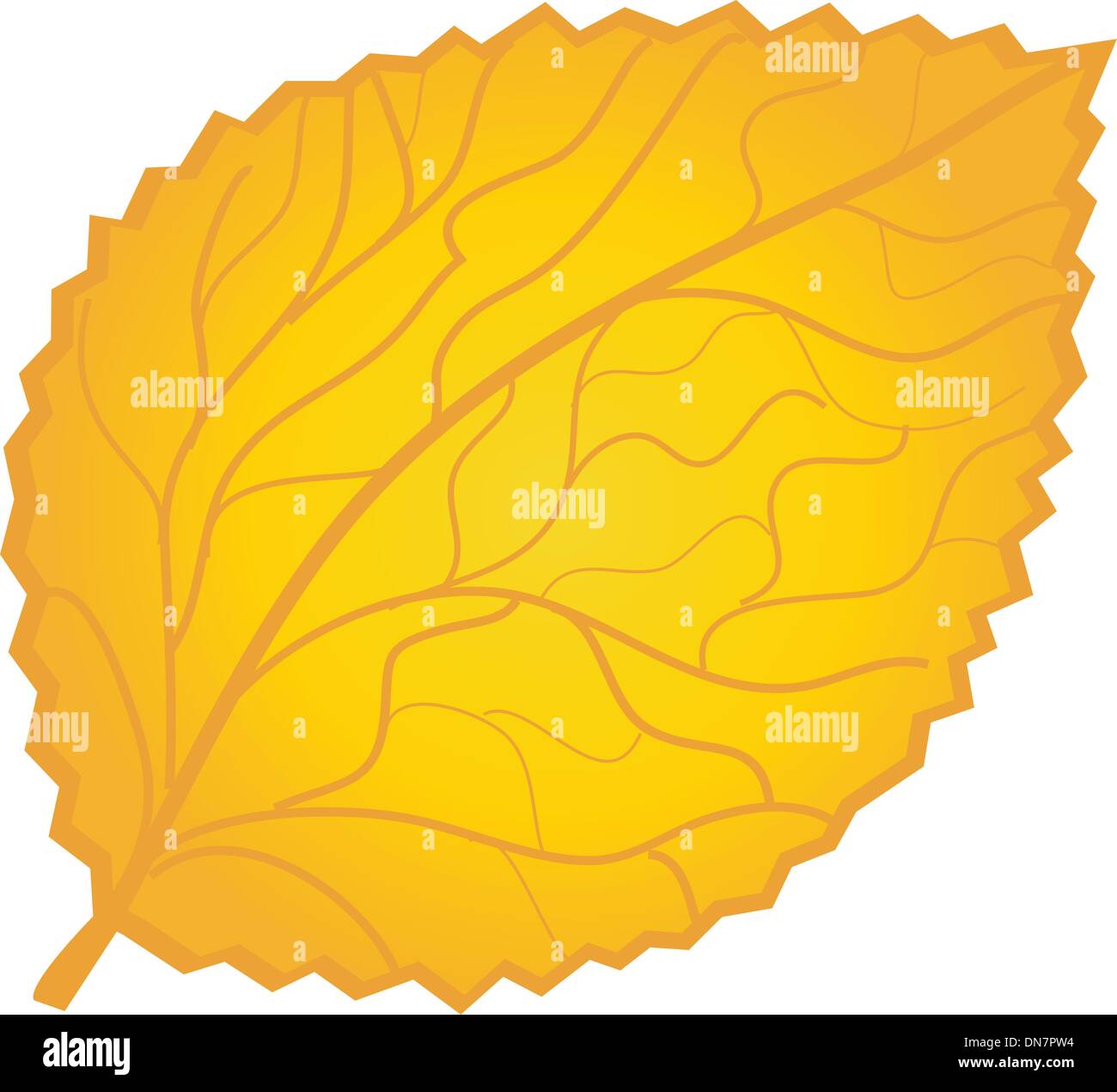 colorful autumn leaves. Vector illustration Stock Vector Image & Art ...