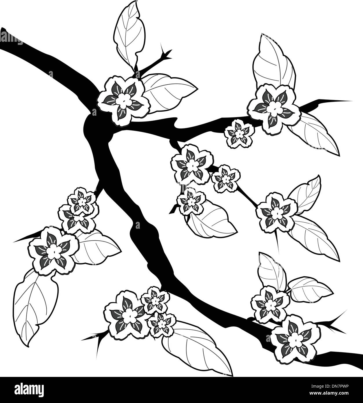 Beautiful pink sakura tree Black and White Stock Photos & Images - Alamy