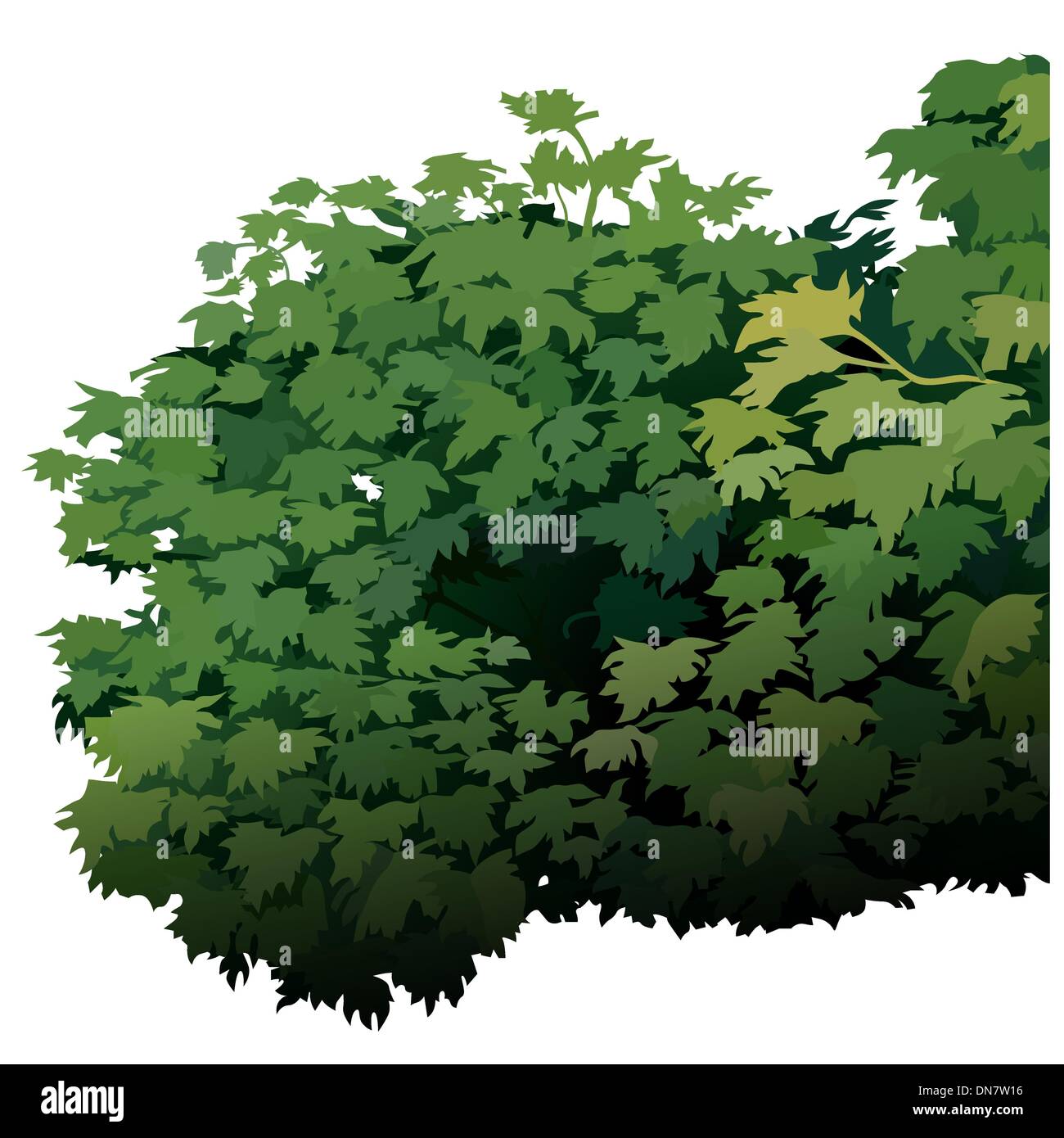 Cartoon bushes hi-res stock photography and images - Alamy