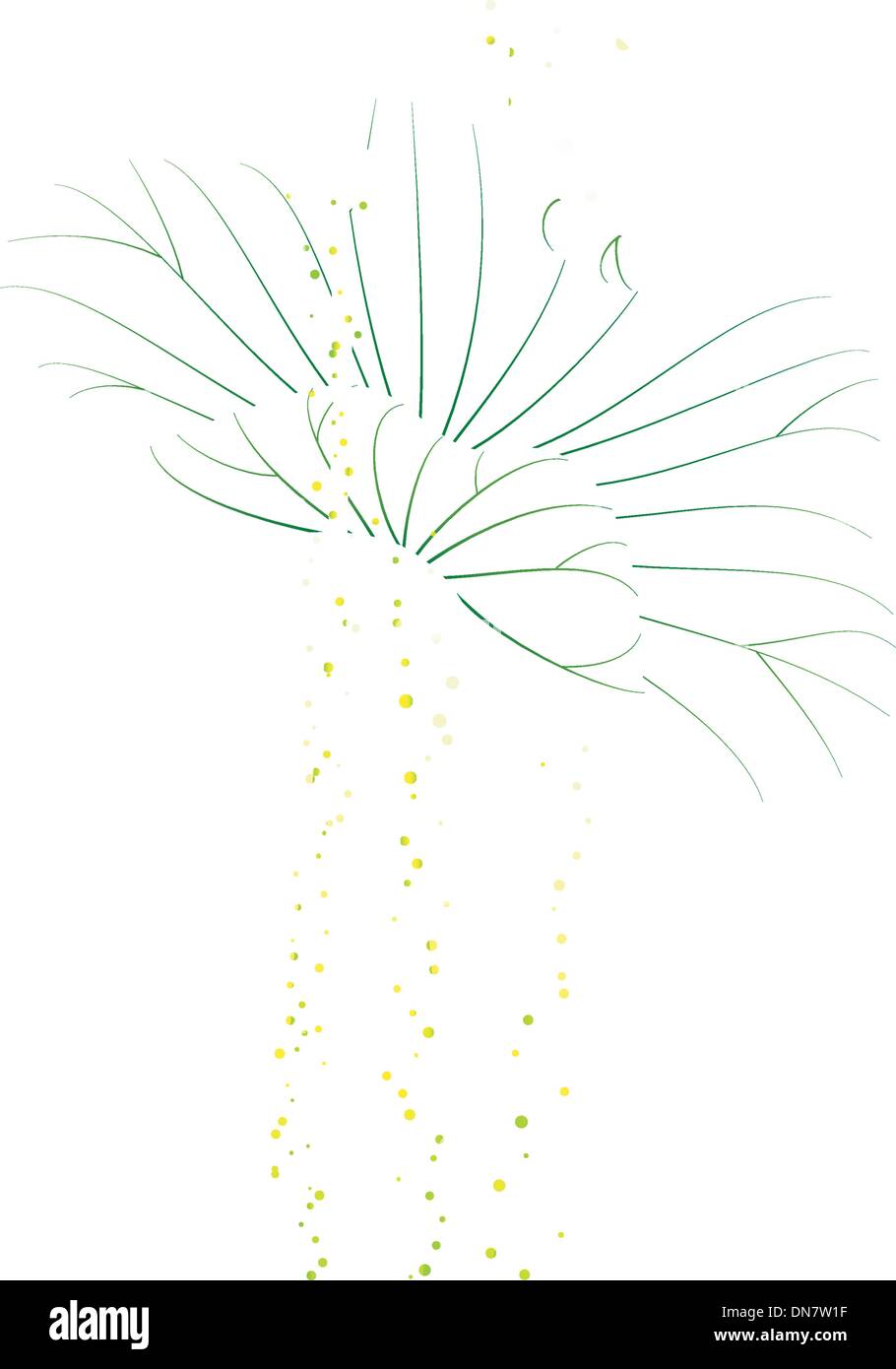 Lotus water lily flower leaves Stock Vector Images - Alamy