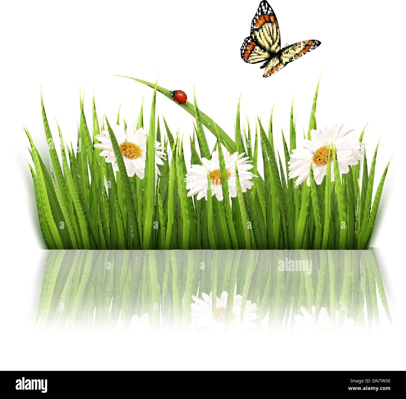 Nature background with green grass and flowers Vector Stock Vector ...