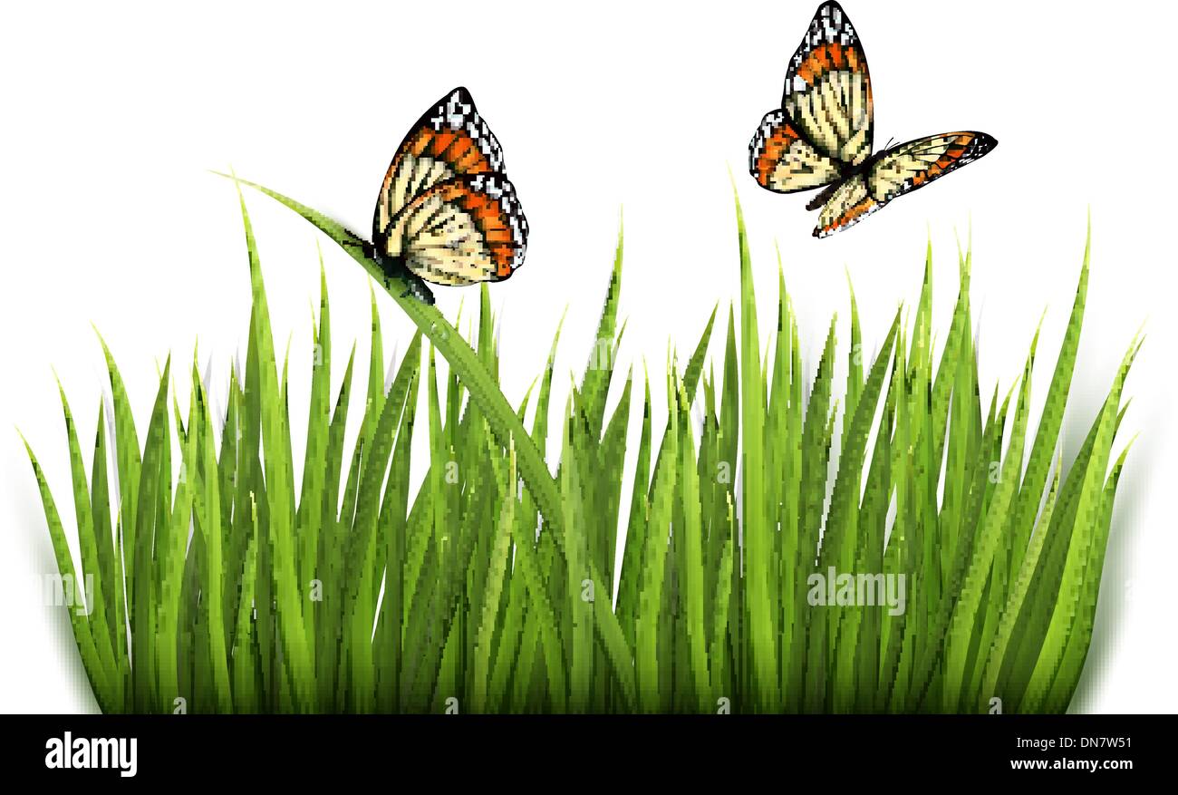 Macro bug nature close up Stock Vector Images - Alamy