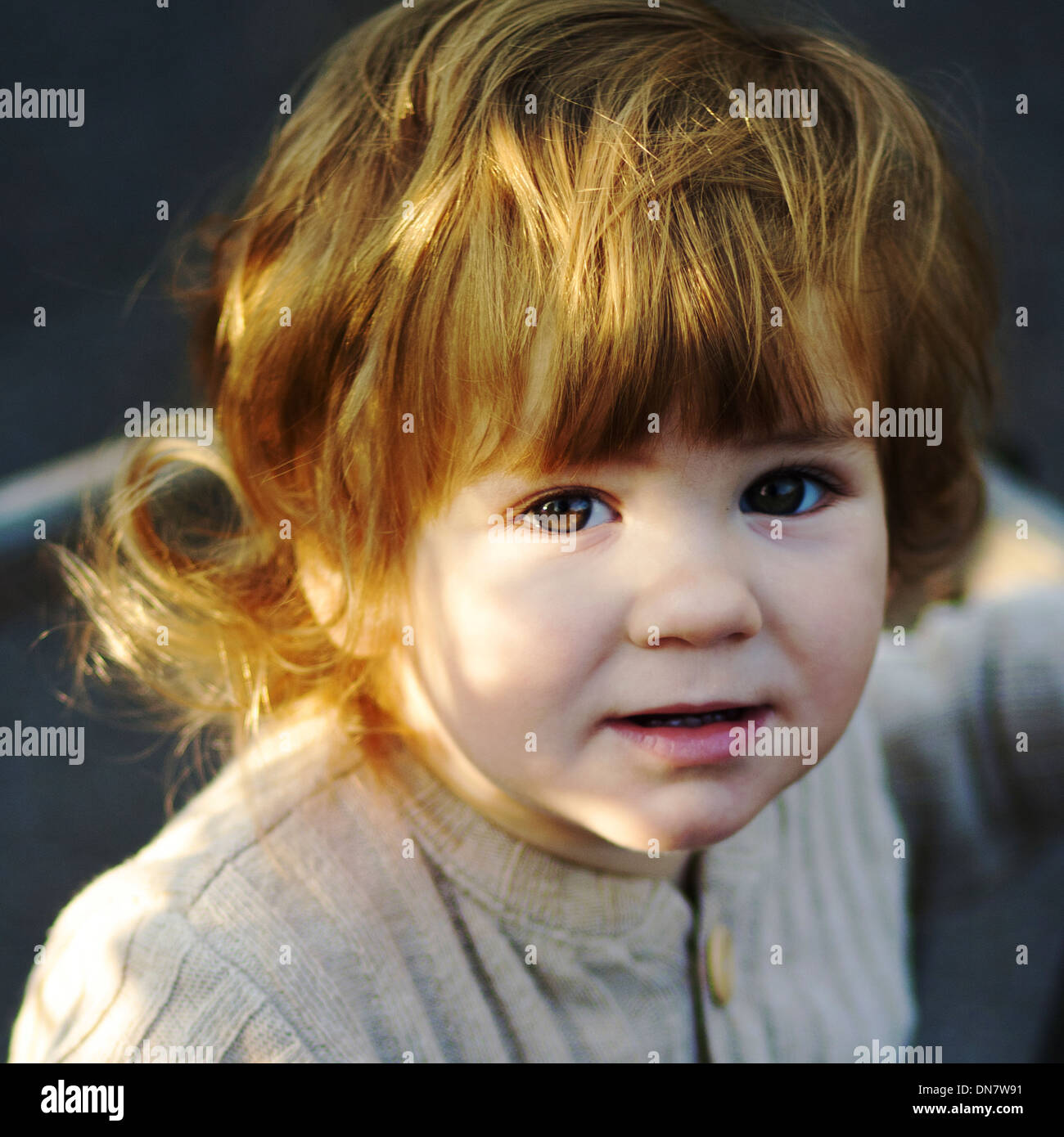 Portrait of a little boy Stock Photo - Alamy