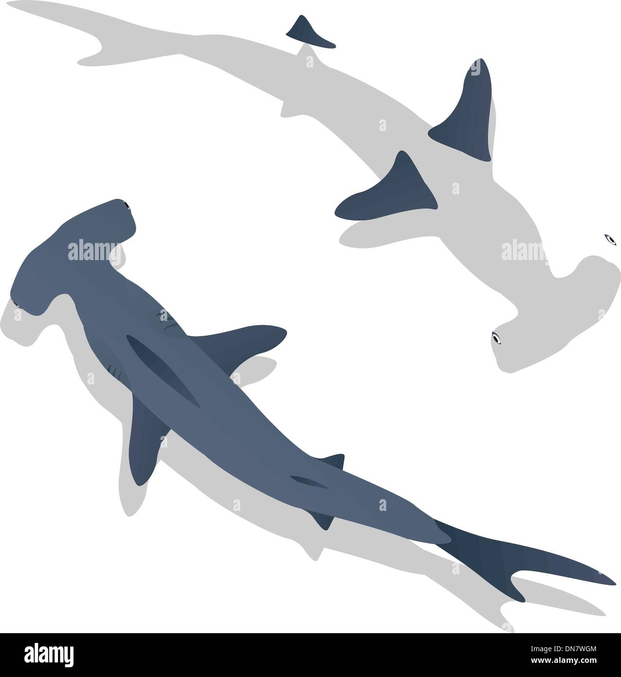 Cartoon hammerhead shark hi-res stock photography and images - Alamy