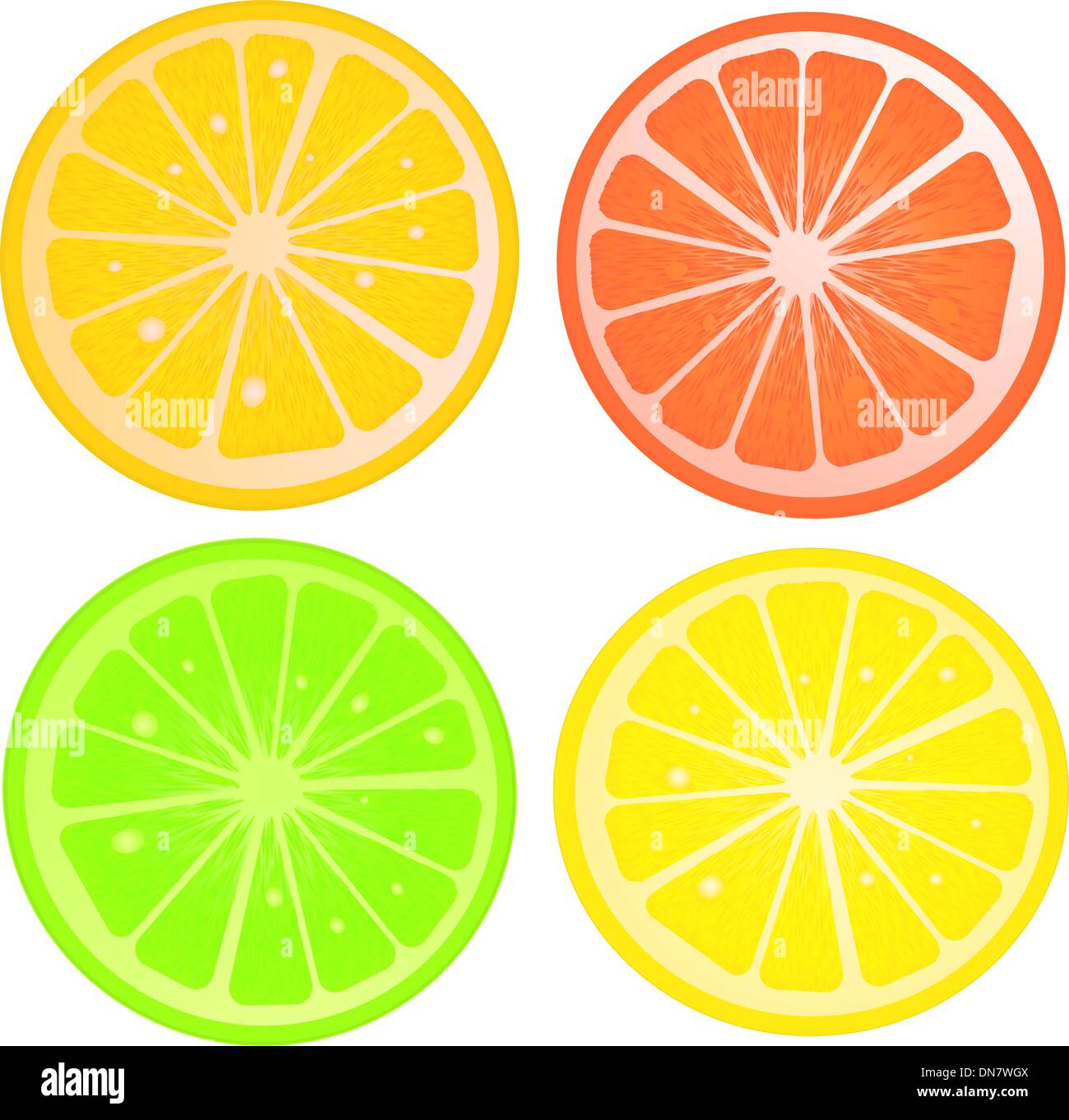 Orange peel slices Stock Vector Images - Alamy