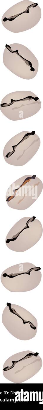 Vertical break Stock Vector Images - Alamy