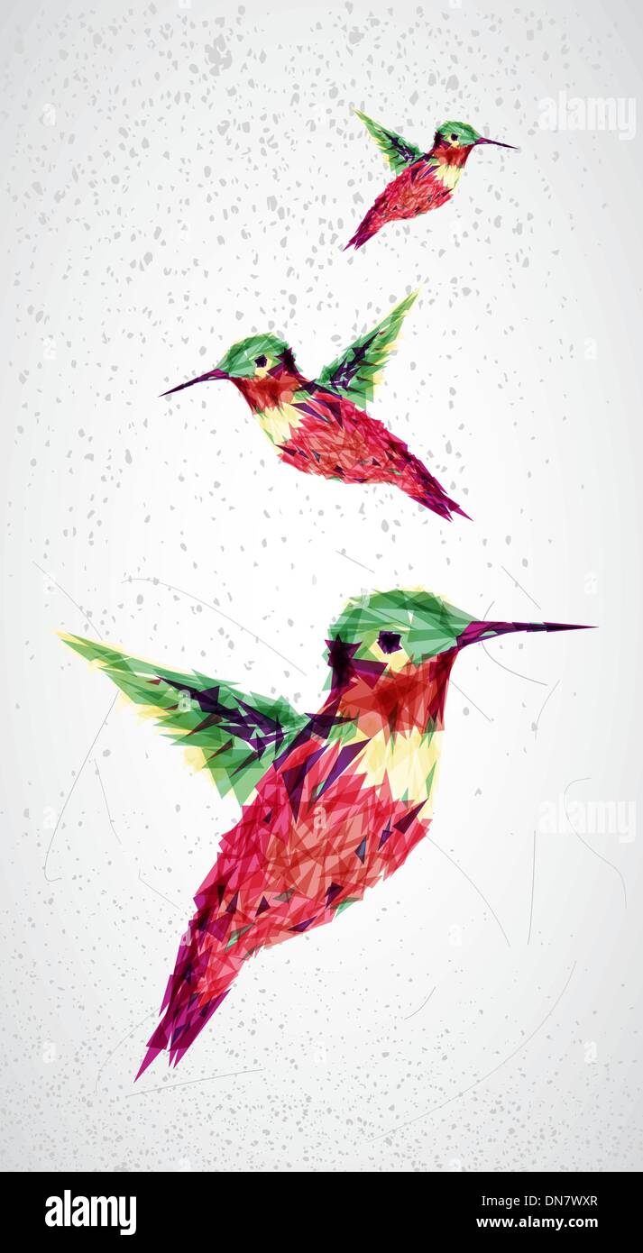 Humming bird geometric illustration Stock Vector Image & Art - Alamy