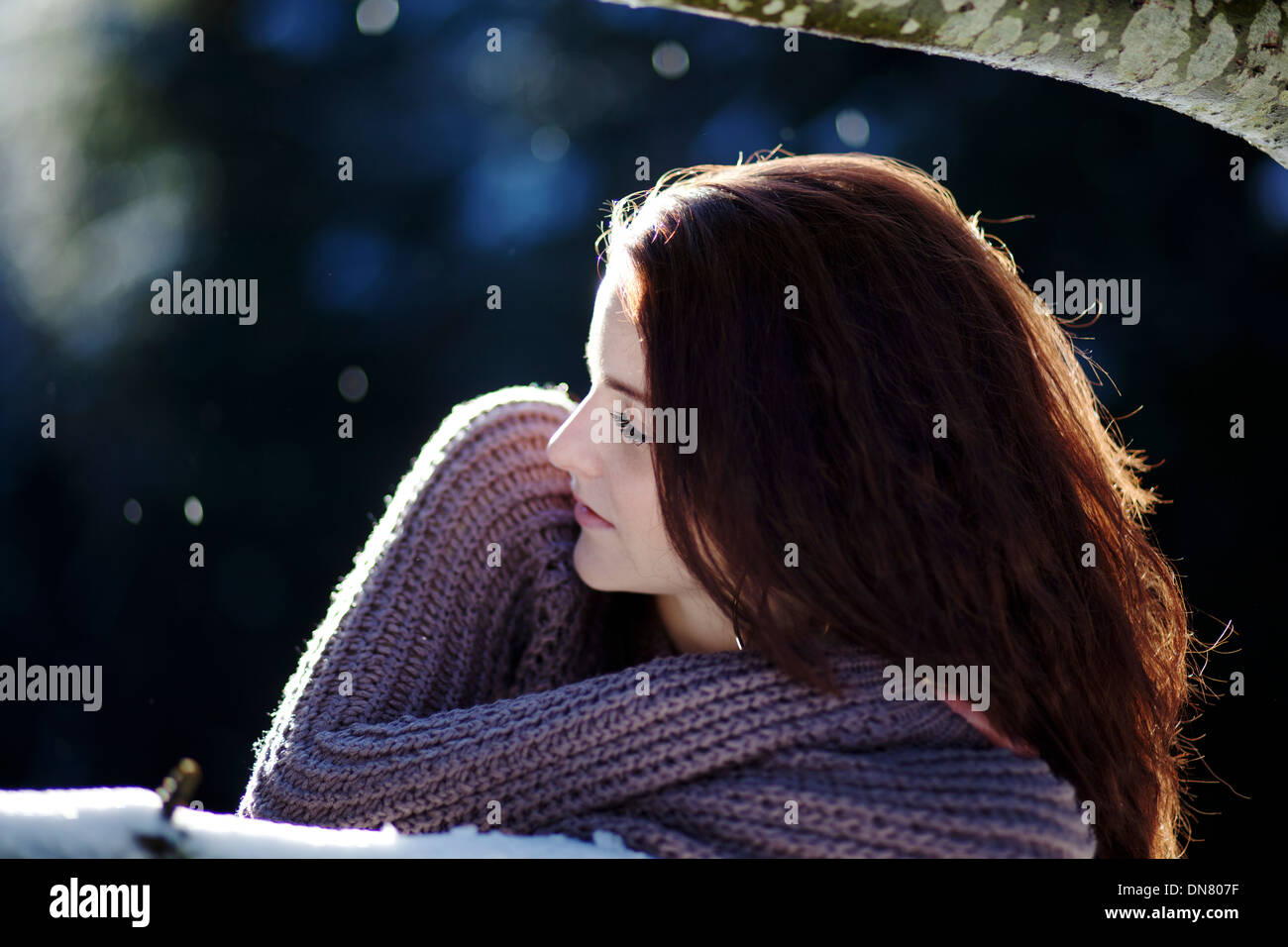 Lying on a tree hi-res stock photography and images - Alamy