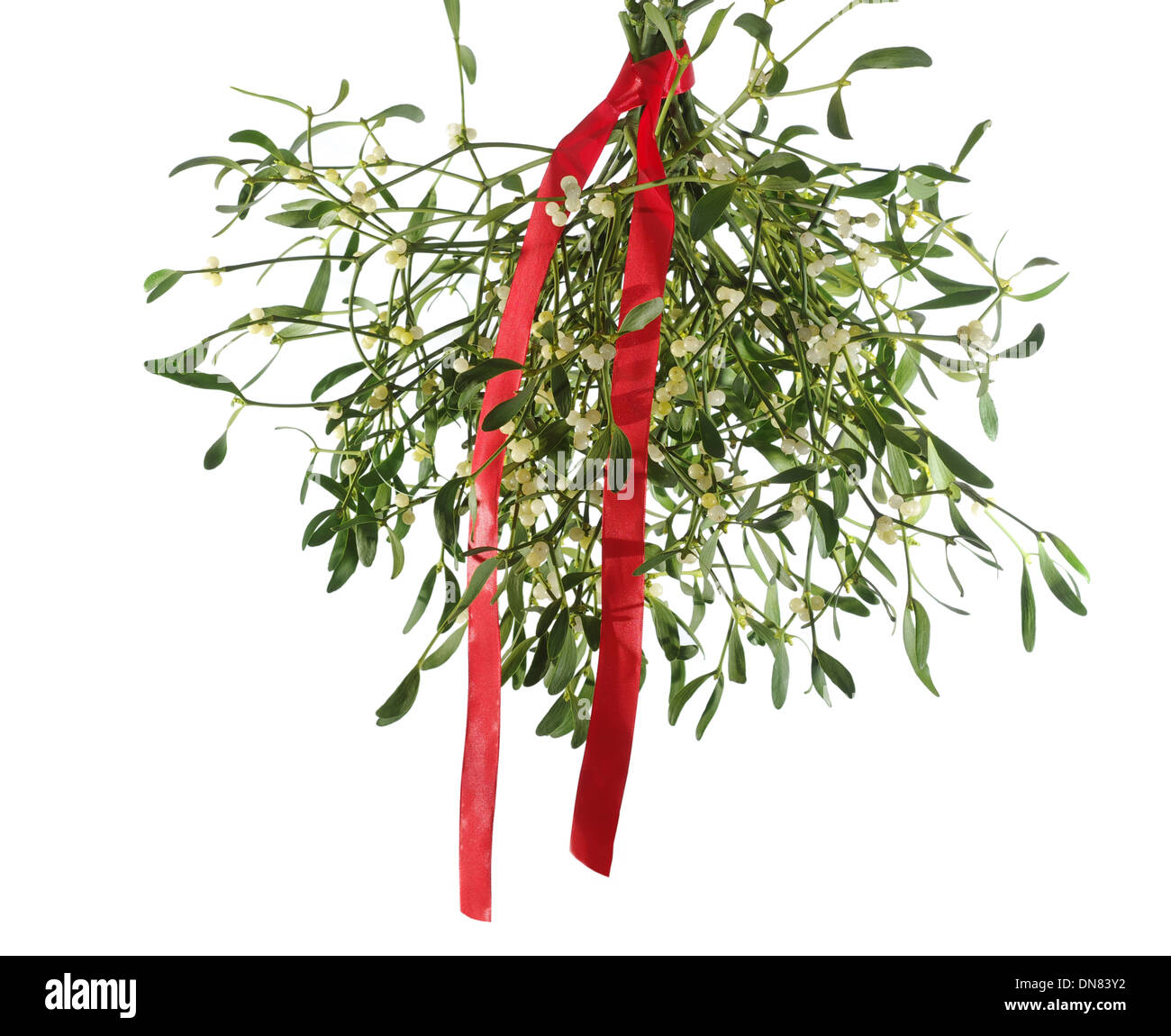 mistletoe's bunch with red ribbon on white background Stock Photo - Alamy