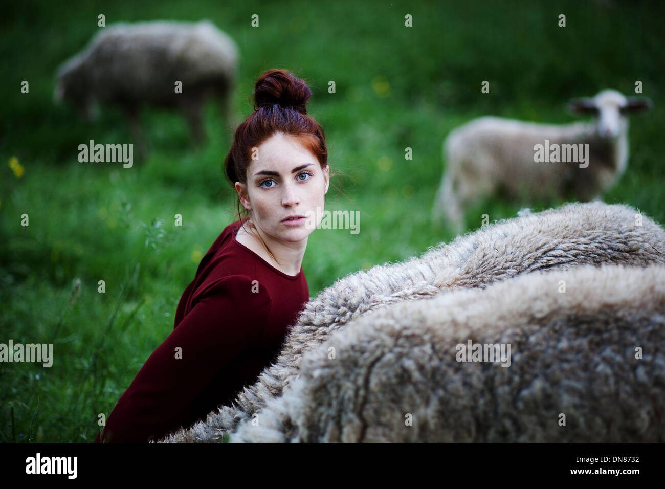 Young woman with sheep on a meadow Stock Photo - Alamy