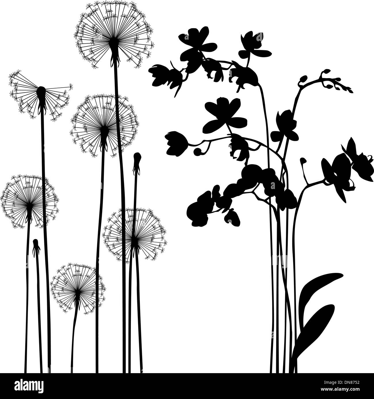 collection, for designers, plant vector Stock Vector Image & Art - Alamy