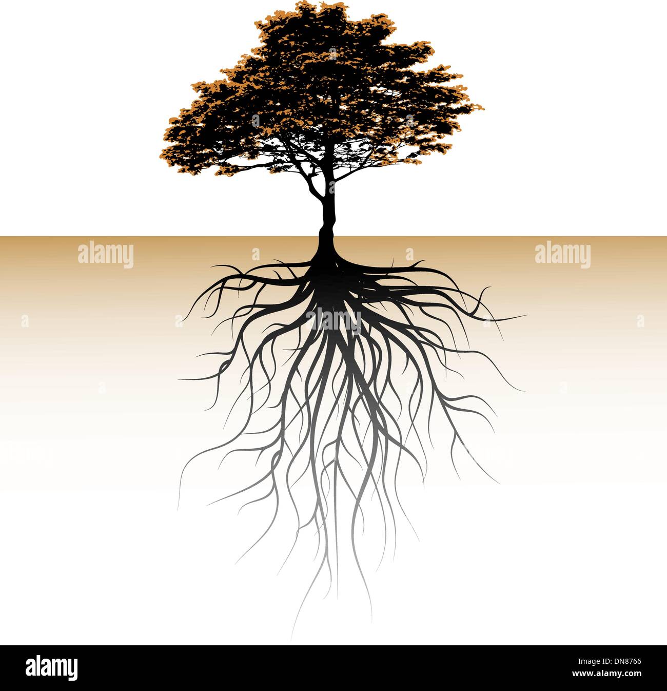 Root Stock Vector Images - Alamy